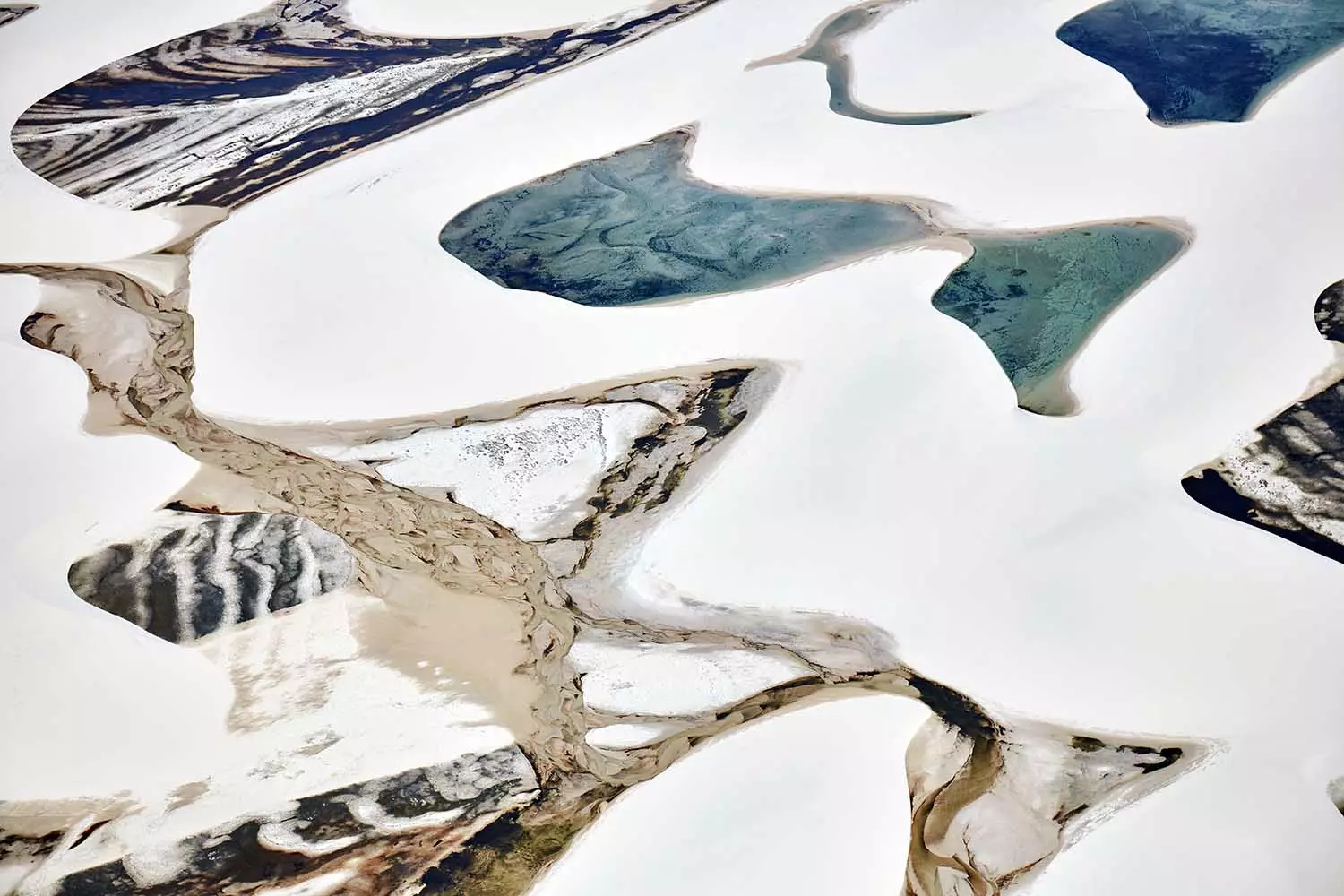 Mpandresy tamin'ny fifaninanana 2016 Wildlife Photographer of The Year 1538_5