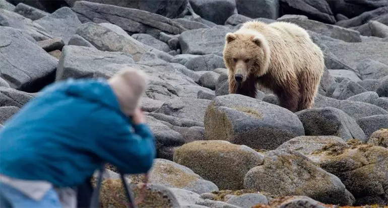 クマの攻撃を避ける方法