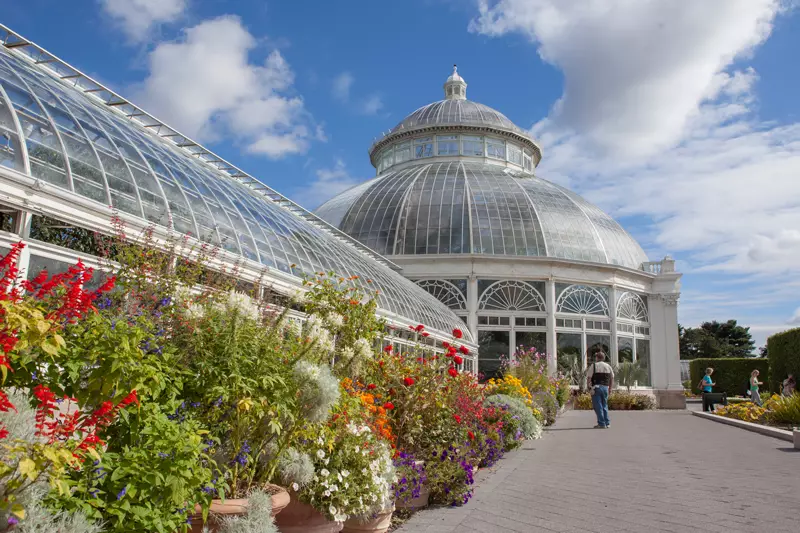 Grădina Botanică din New York