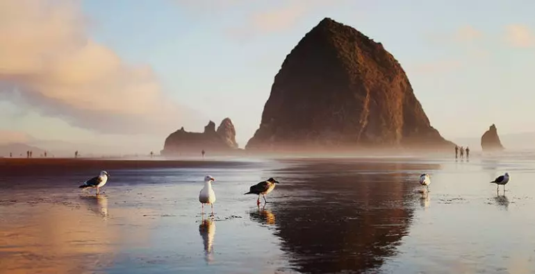 Haystack Rock Oregon Mareykanka