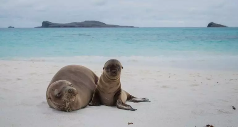 Usuku lwesixhenxe kwiiGalapagos Islands