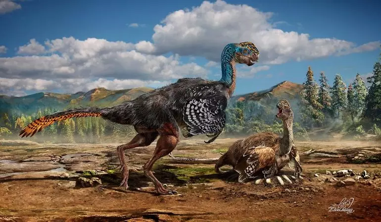 Amapeza zotsalira za oviraptorosaur atakhala pa chisa chake ndi ana ake obadwa nawo 15605_1