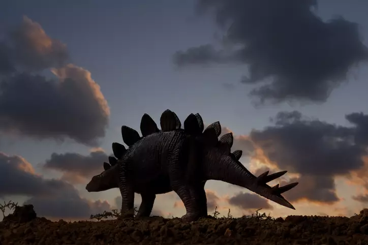 Hóa thạch stegosaurus được tìm thấy ở Trung Quốc