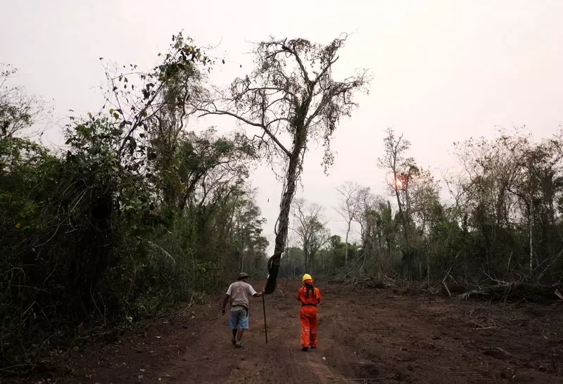 ភ្លើងឆេះព្រៃនៅបូលីវី