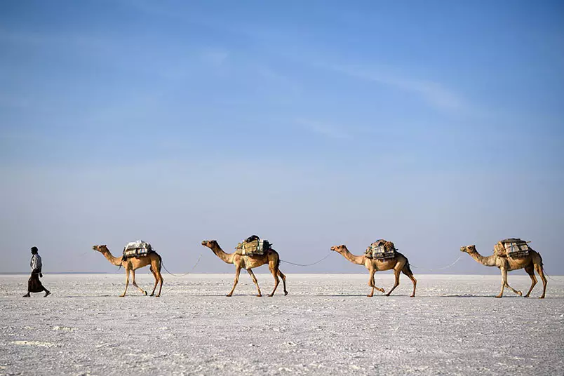 Werken in de zoutmijnen van Ethiopië 1587_2