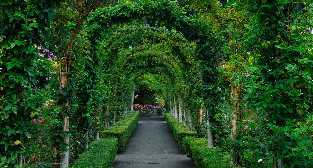 Butchart Gardens, a világ legszebb botanikus kertje