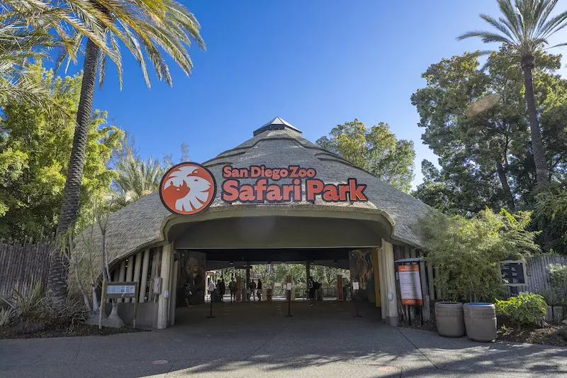 San Diego Safari Parkı