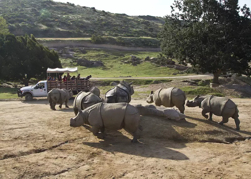 San Diego Safari Parkı