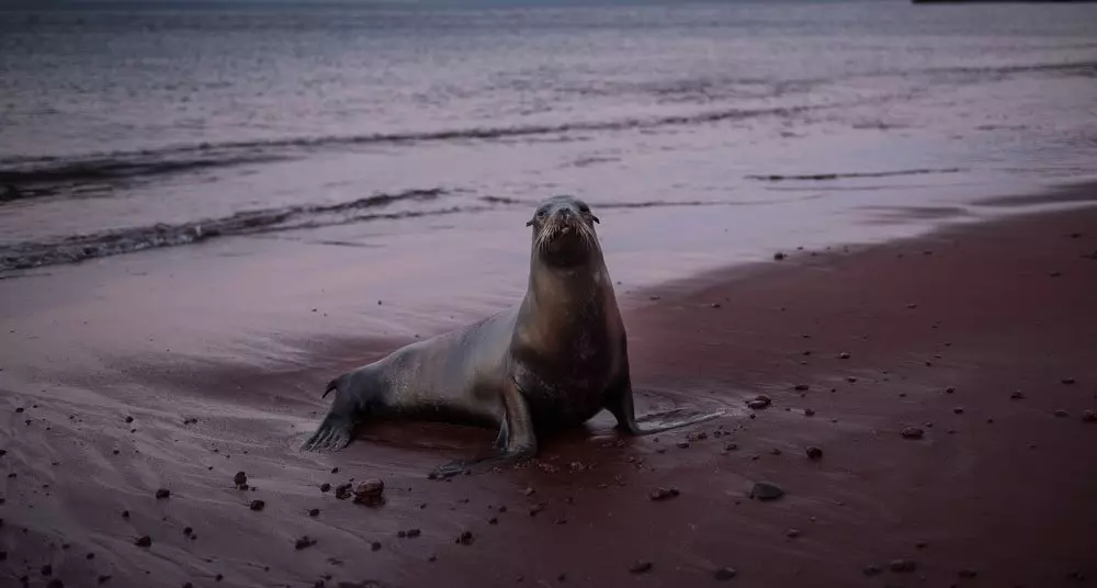 Ikalimang araw sa Galapagos Islands