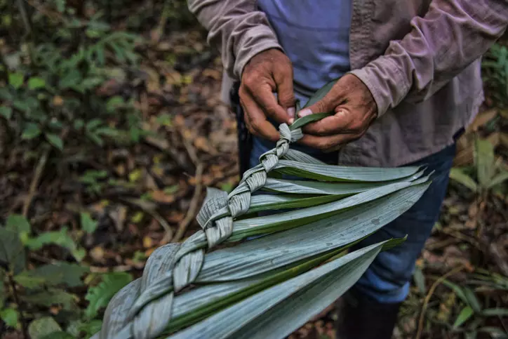 Ngày Trái Đất