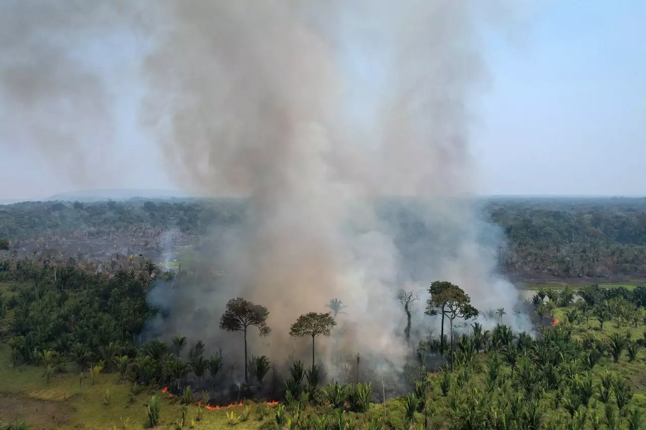 Amazoniako biodibertsitatea berreskuratu gabe gal liteke