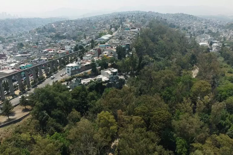 Hutan Naucalpan