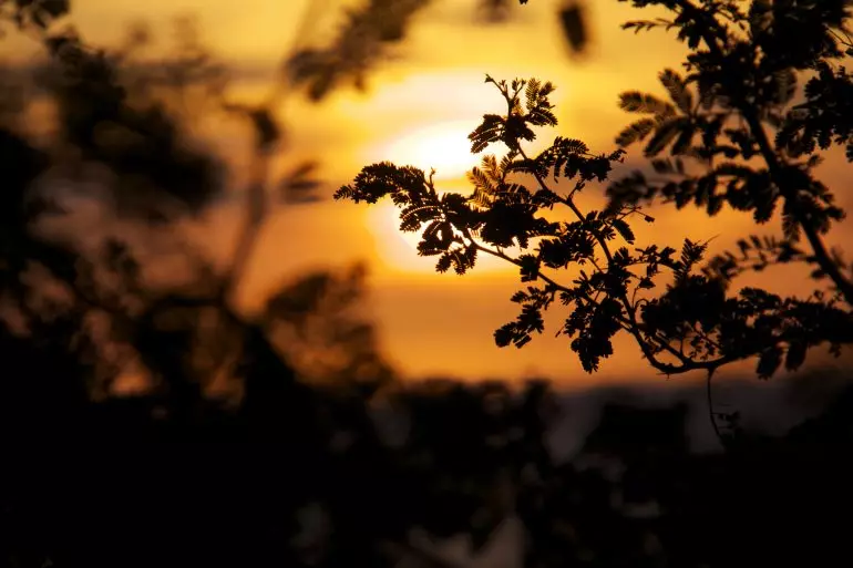 ಸಾಂಟಾ ಮಾರ್ಟಾ ಅವರ ಫೋಟೋಗಳು