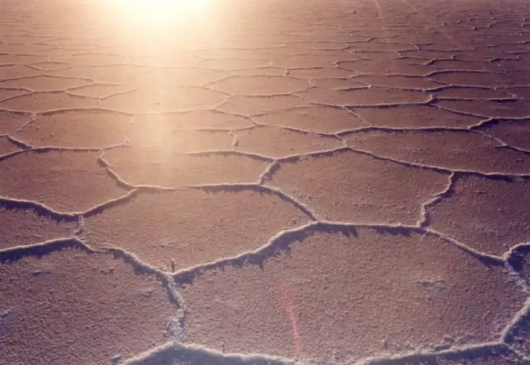 Gallery|The Salar de Uyuni