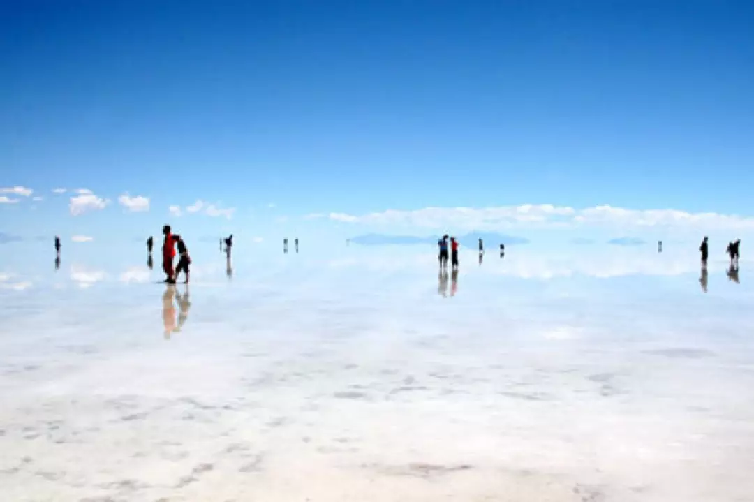 გალერეა|The Salar de Uyuni, ბოლივია 1833_13