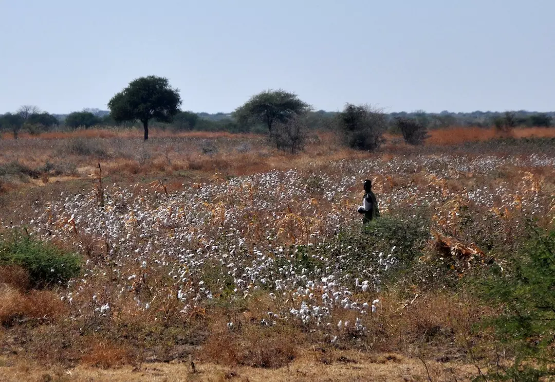 Gallery | Tanzanian by train 18905_4