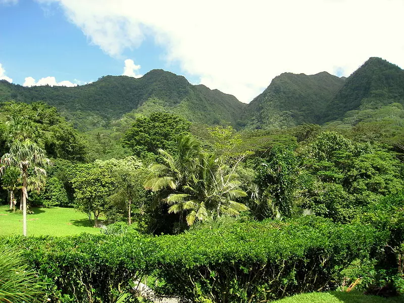 Gallery | Lakaw sa paraiso sa Hawaii 1912_10