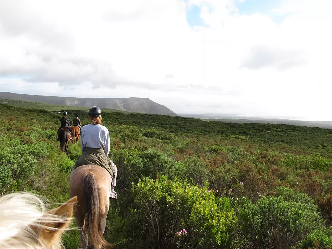 Gallery | South Africa, usa ka lugar nga nagbag-o sa kaugalingon 19352_6