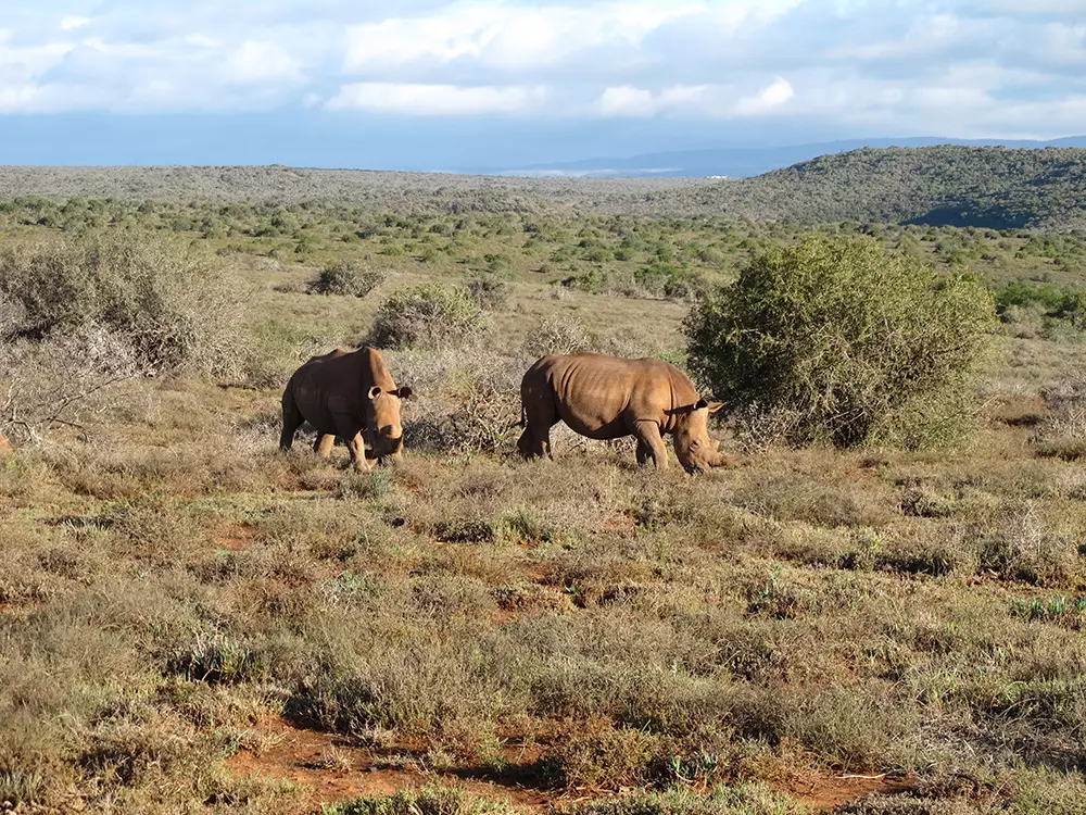 Gallery | South Africa, isang lugar na muling likha ng sarili 19352_9