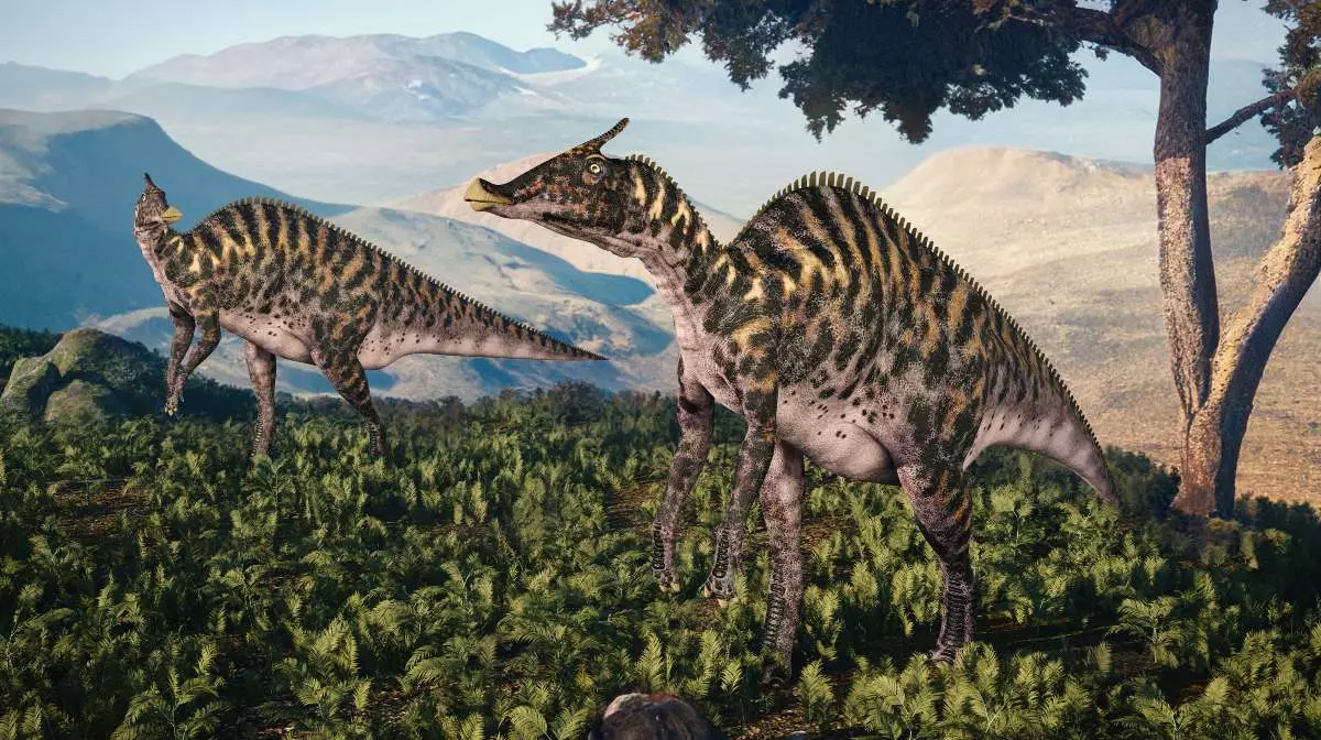 kuparara kwemadinosaur