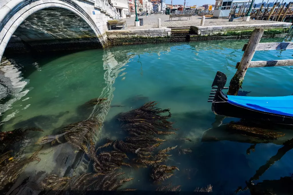 Venice Water