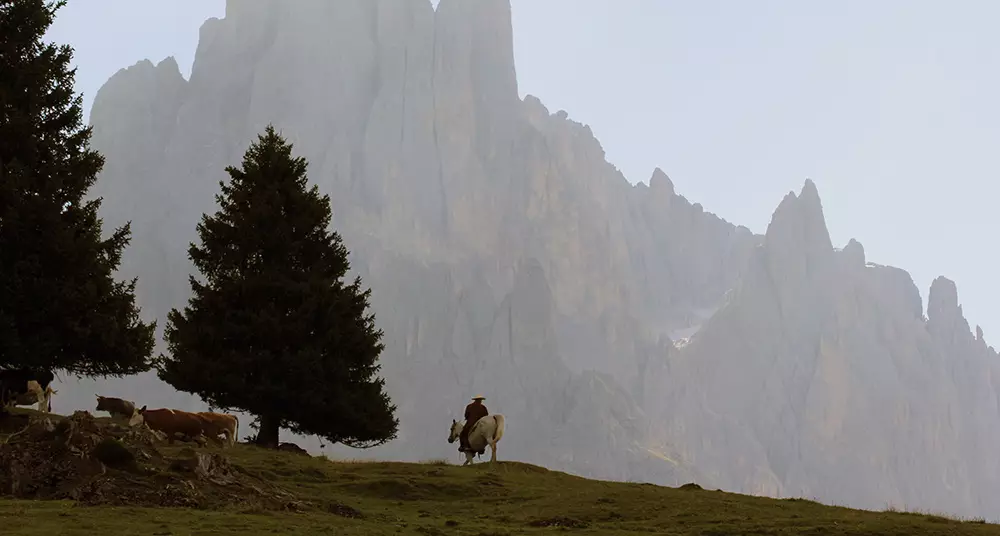 Cowboys nan pi gwo Meadow alpine an Ewòp 2137_6