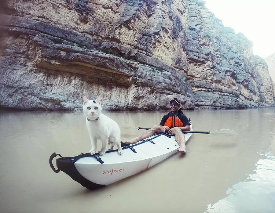 Incontra il gatto viaggiatore che ha conquistato Instagram 21491_6