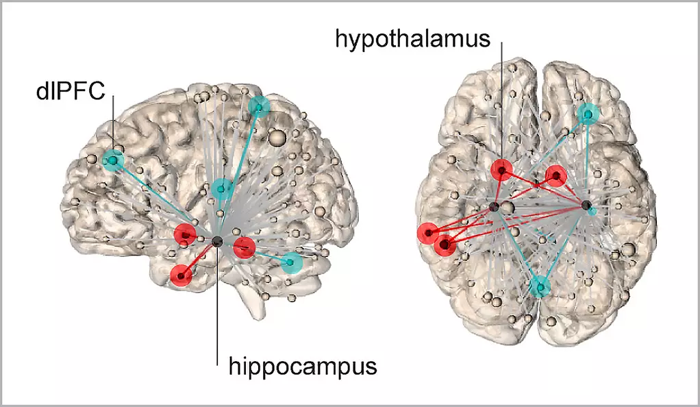 ingcindezi ebuchosheni be-hippocampus hypothalamus brain neural connections