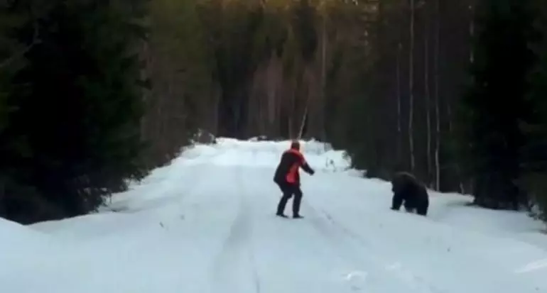 Veja como um homem repele um ataque de urso