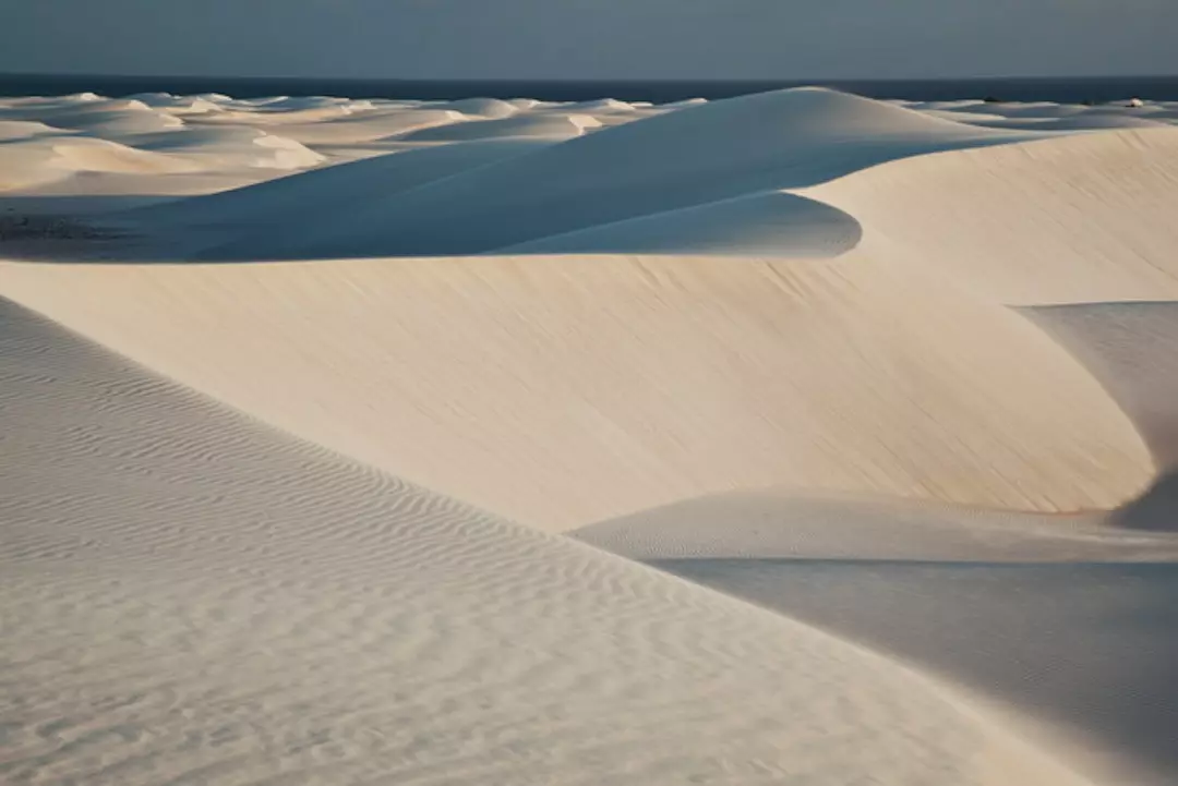 Socotra-skjærgården, en merkelig arv fra planeten 2306_5