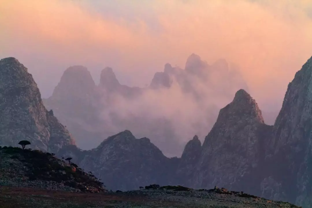 The Socotra archipelago, inoshamisa nhaka yepasi 2306_7