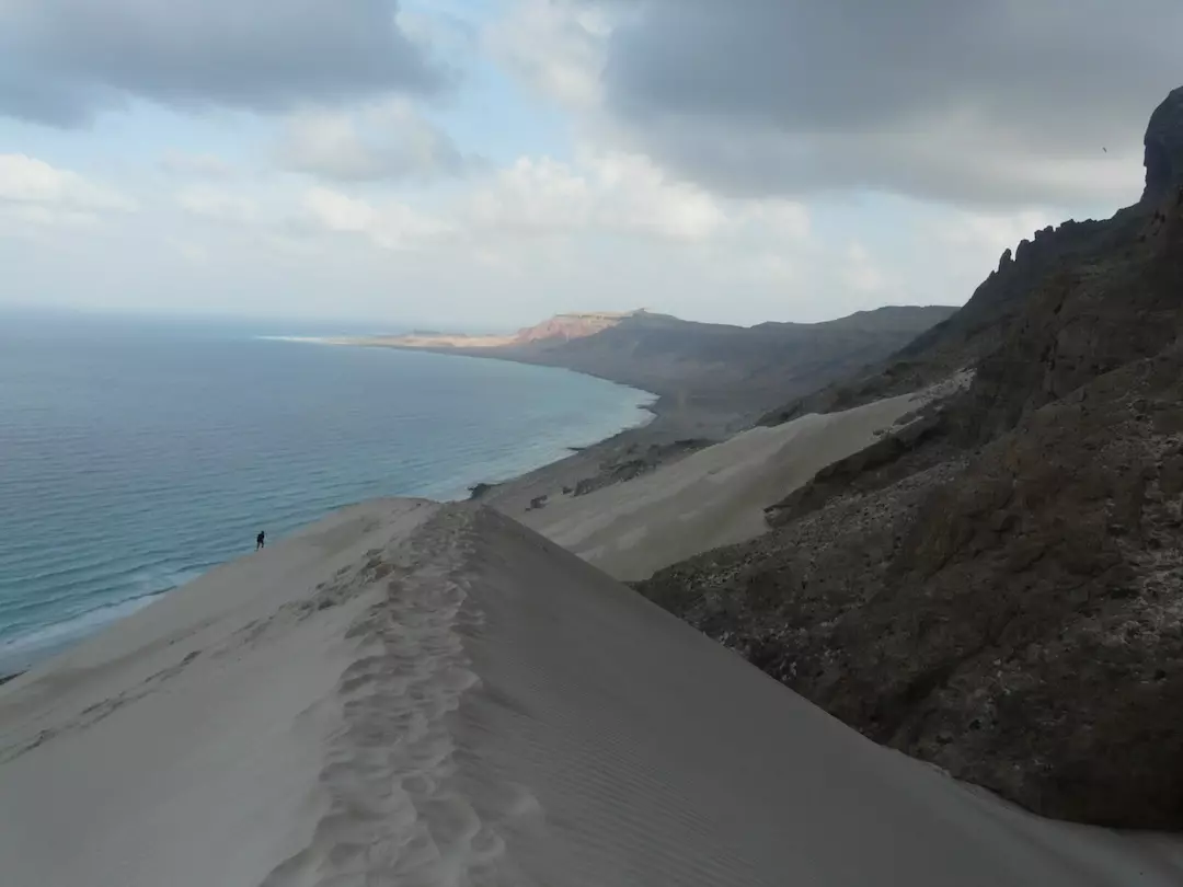 Socotra-skjærgården, en merkelig arv fra planeten 2306_8