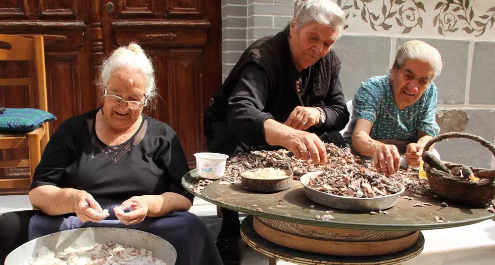 Mastic, le trésor collant de l'île de Chios 2344_2