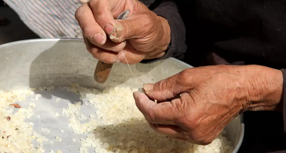 Mastic, le trésor collant de l'île de Chios 2344_3