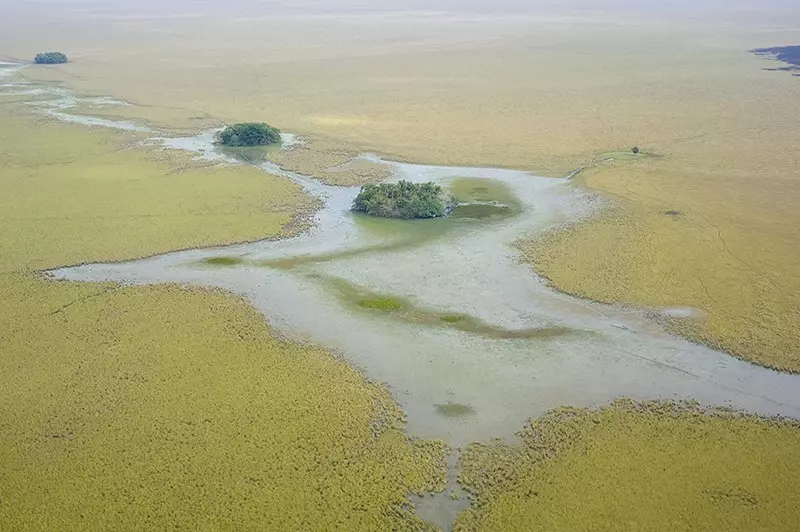 Ili trovas perditan antaŭhispanan civilizon en la bolivia ĝangalo