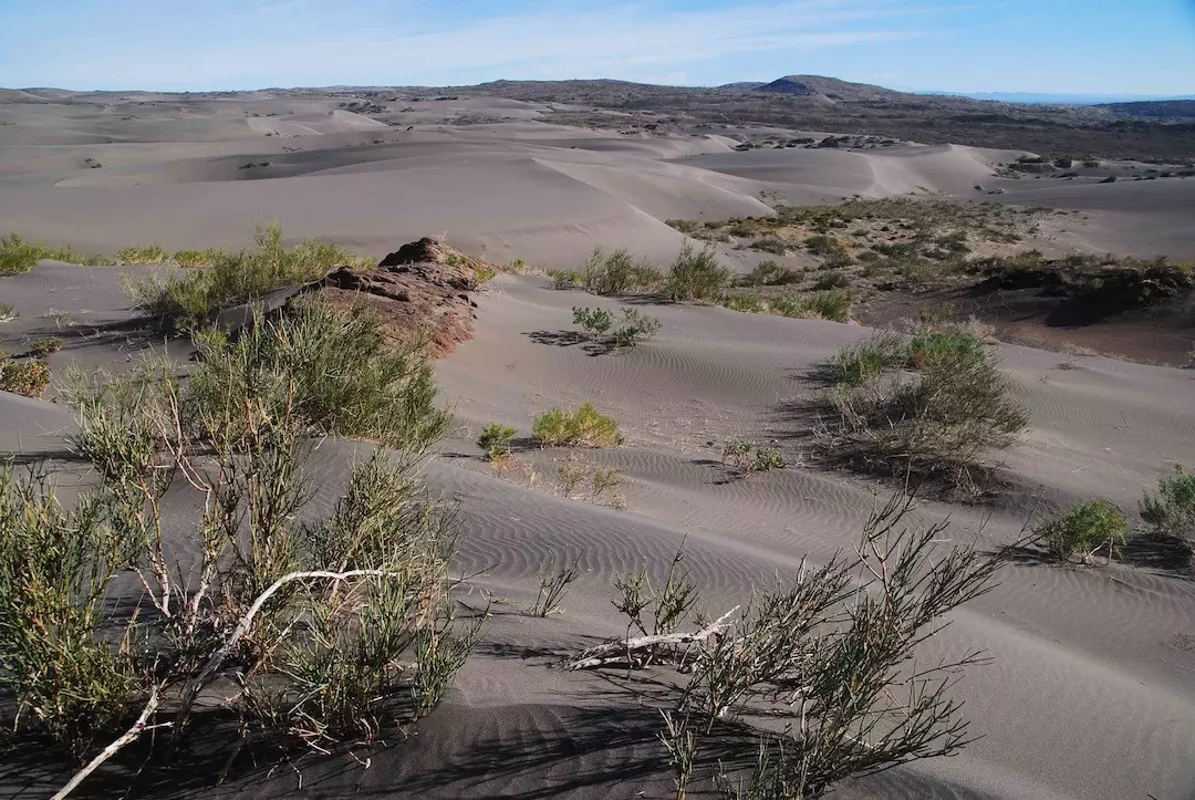 Gallery | Líla ninu awọn dunes ti Nihuil 2475_6