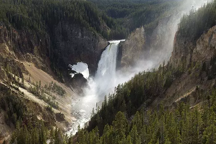 Yellowstone, 100 ans de nature à son meilleur 2479_4