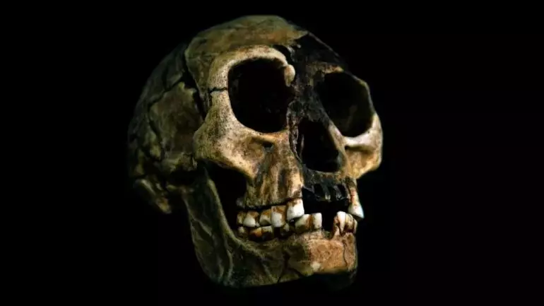 Homo floresiensis