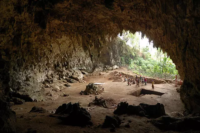 Homo floresiensis