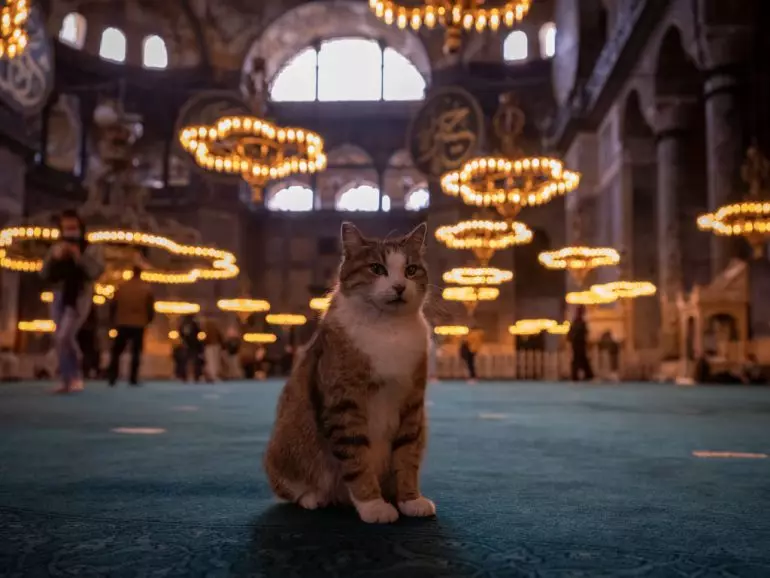 džamija Hagia Sophia