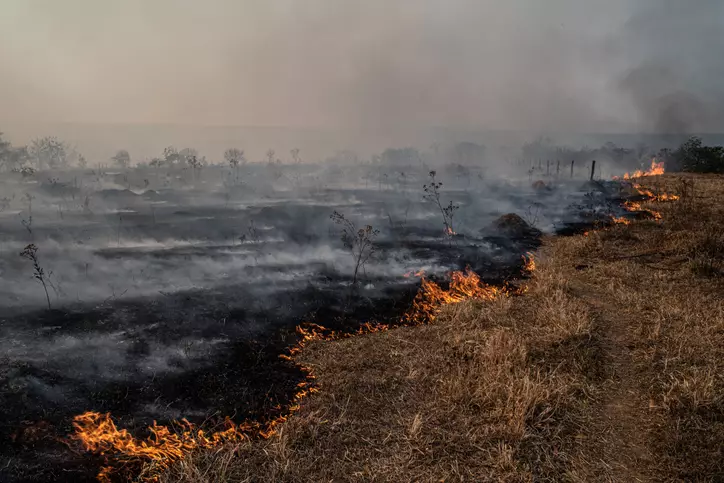 Amazonas släpper redan ut mer koldioxid i atmosfären än vad den absorberar 2714_2