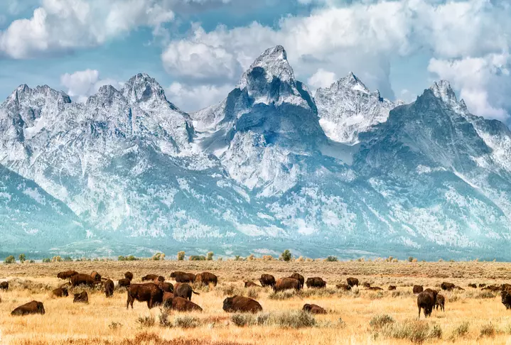 6 Naciaj Parkoj en Usono, kiujn ĉiu naturamanto devus koni