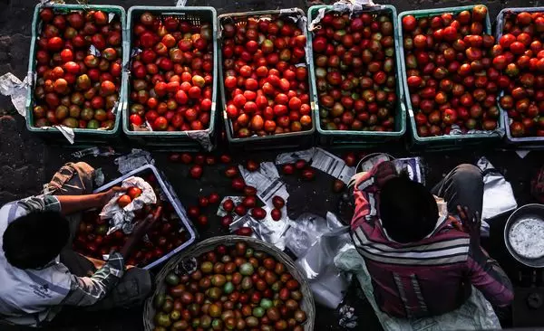 世界中の 15 の食べ物の写真 3189_12