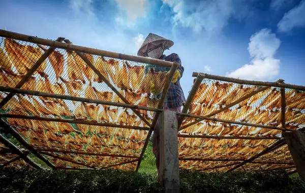 世界中の 15 の食べ物の写真 3189_15