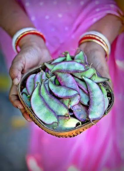 世界中の 15 の食べ物の写真 3189_16