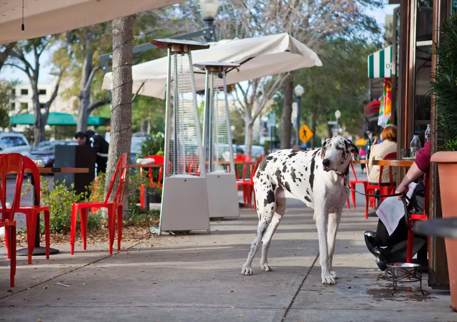 Winter Park: il miglior luogo di riposo in Florida 3260_2