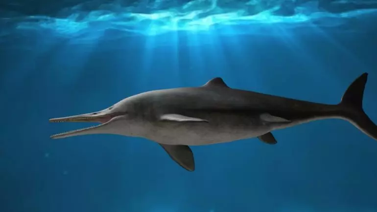 कोलम्बियामा ichthyosaur पत्ता लाग्यो