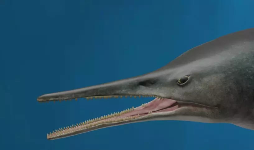 eya tuntun ti aworan ichthyosaur colombia