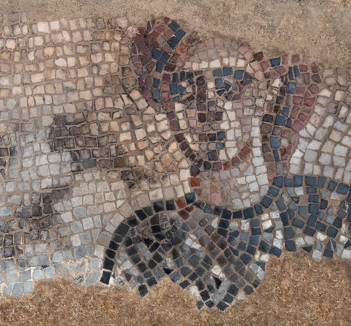 Des héroïnes bibliques regardent à travers les mosaïques de Basse Galilée, Israël