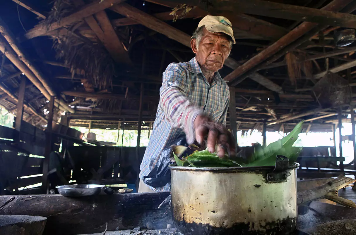 ยาของบรรพบุรุษกำลังจะตายไปพร้อมกับภาษาดั้งเดิม